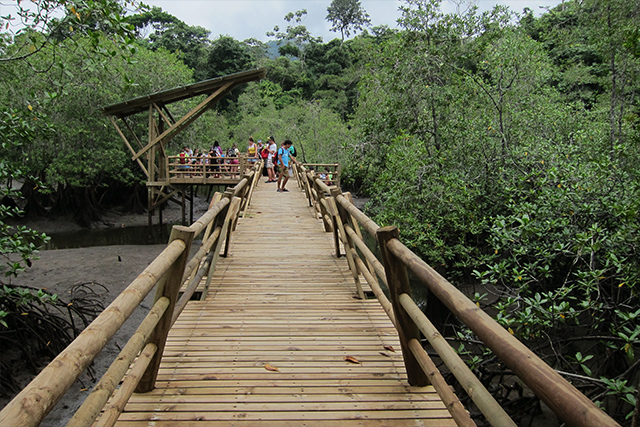15_parques_naturales_en_Colombia_que_debes_visitar_URepublicacanaRadio ...